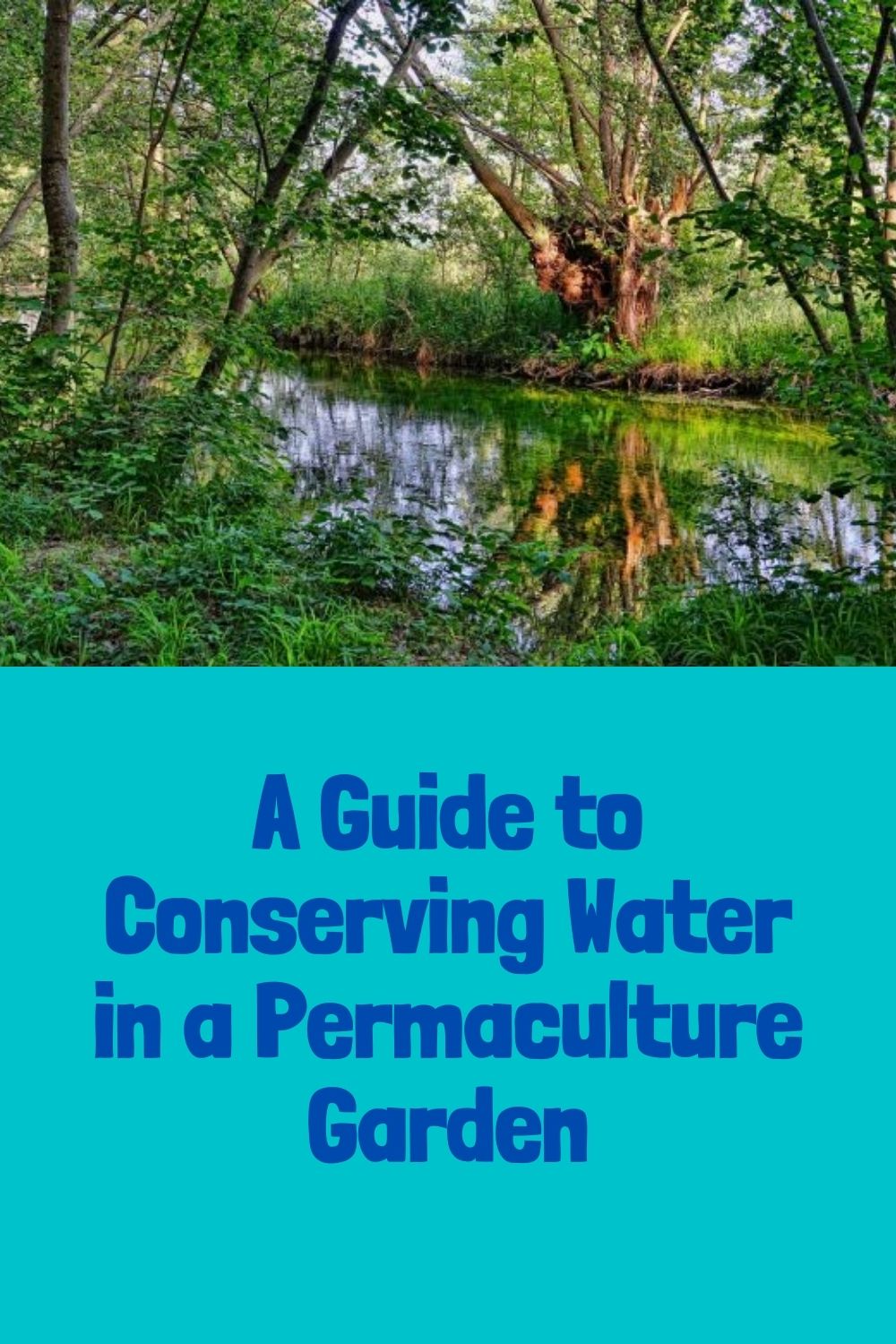 A Guide to Conserving Water in a Permaculture Garden