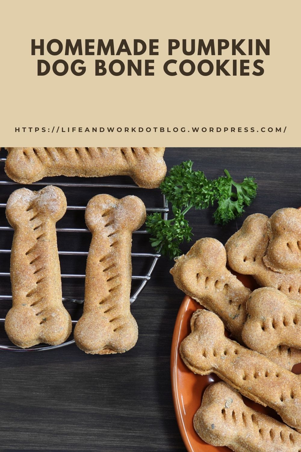 Recipe - Homemade Pumpkin Dog Bone Cookies