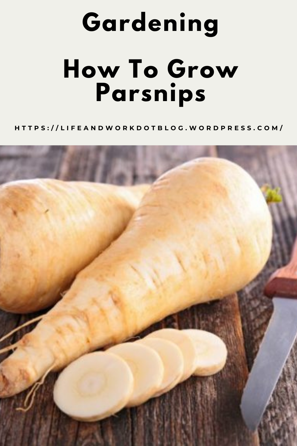 How To Grow Parsnips