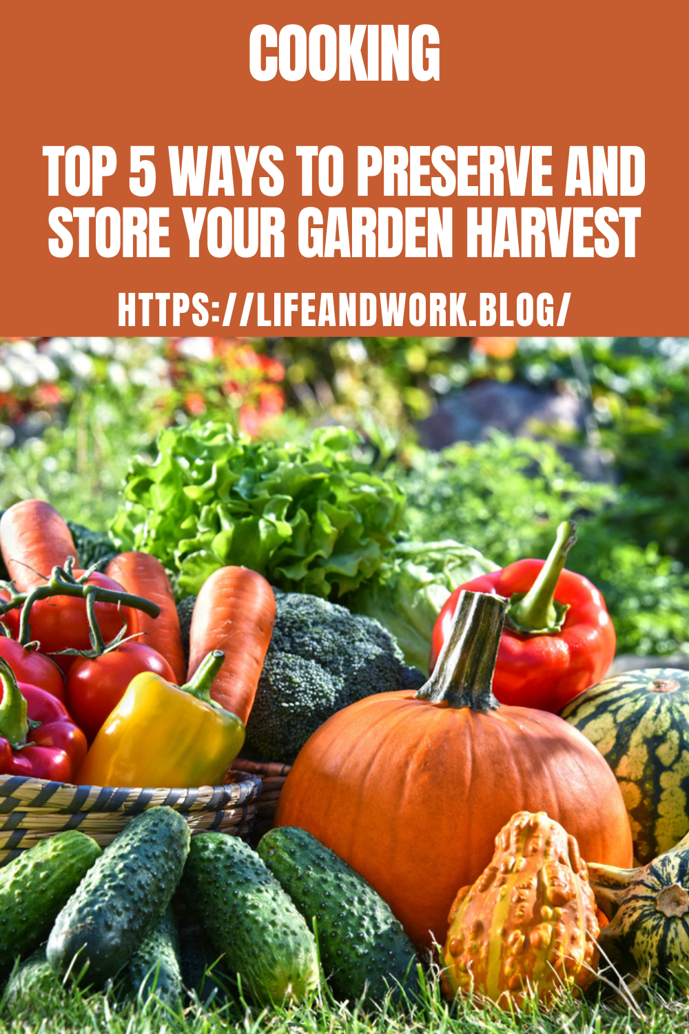 Top 5 Ways to Preserve and Store Your Garden Harvest