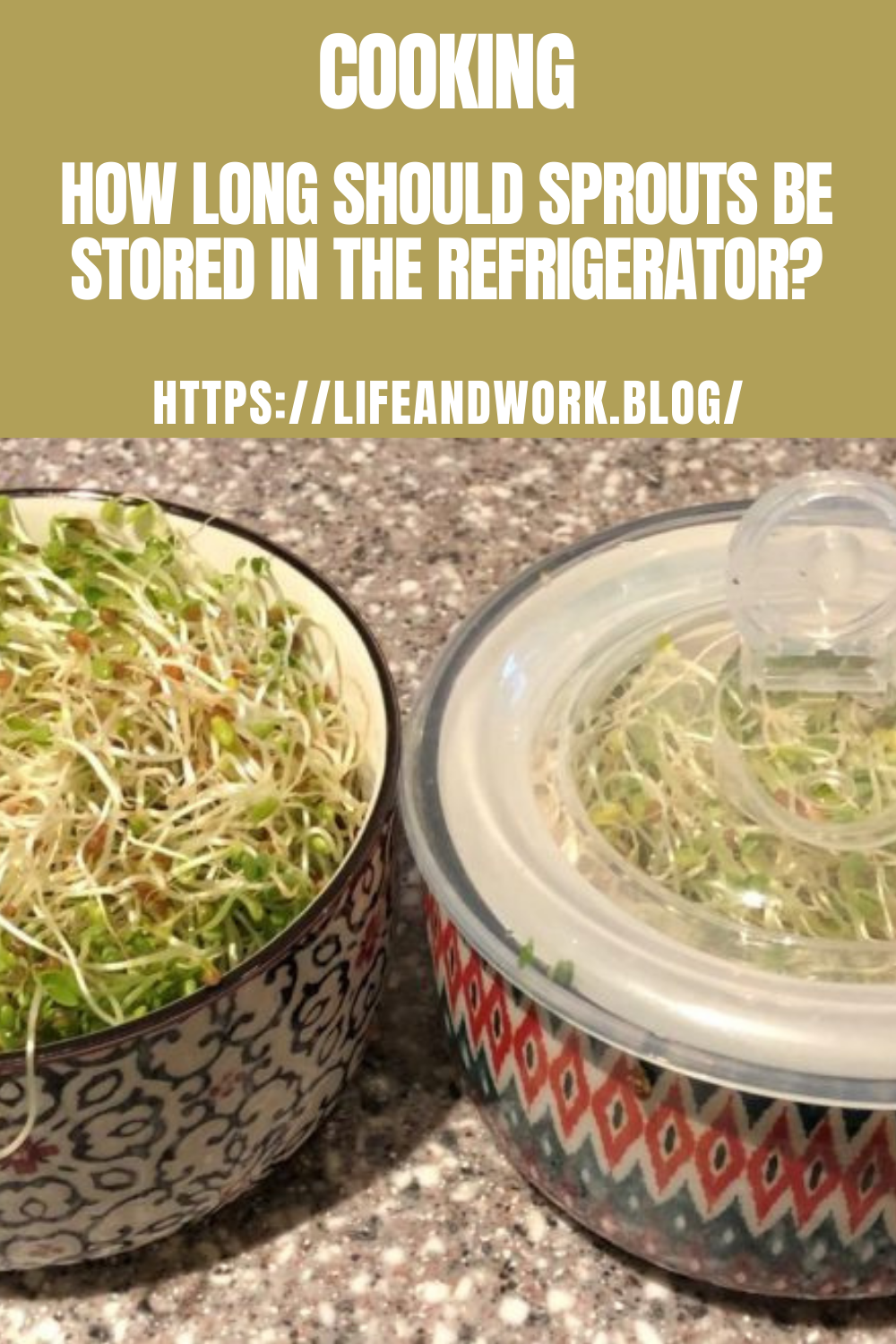 How Long Should Sprouts Be Stored In the Refrigerator?