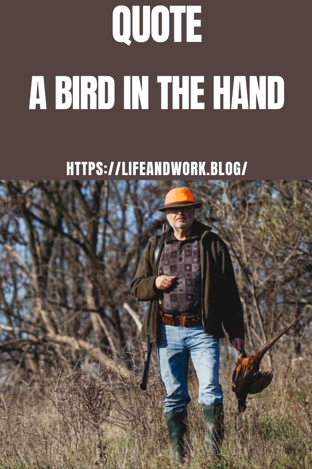 Quote – A Bird In The Hand