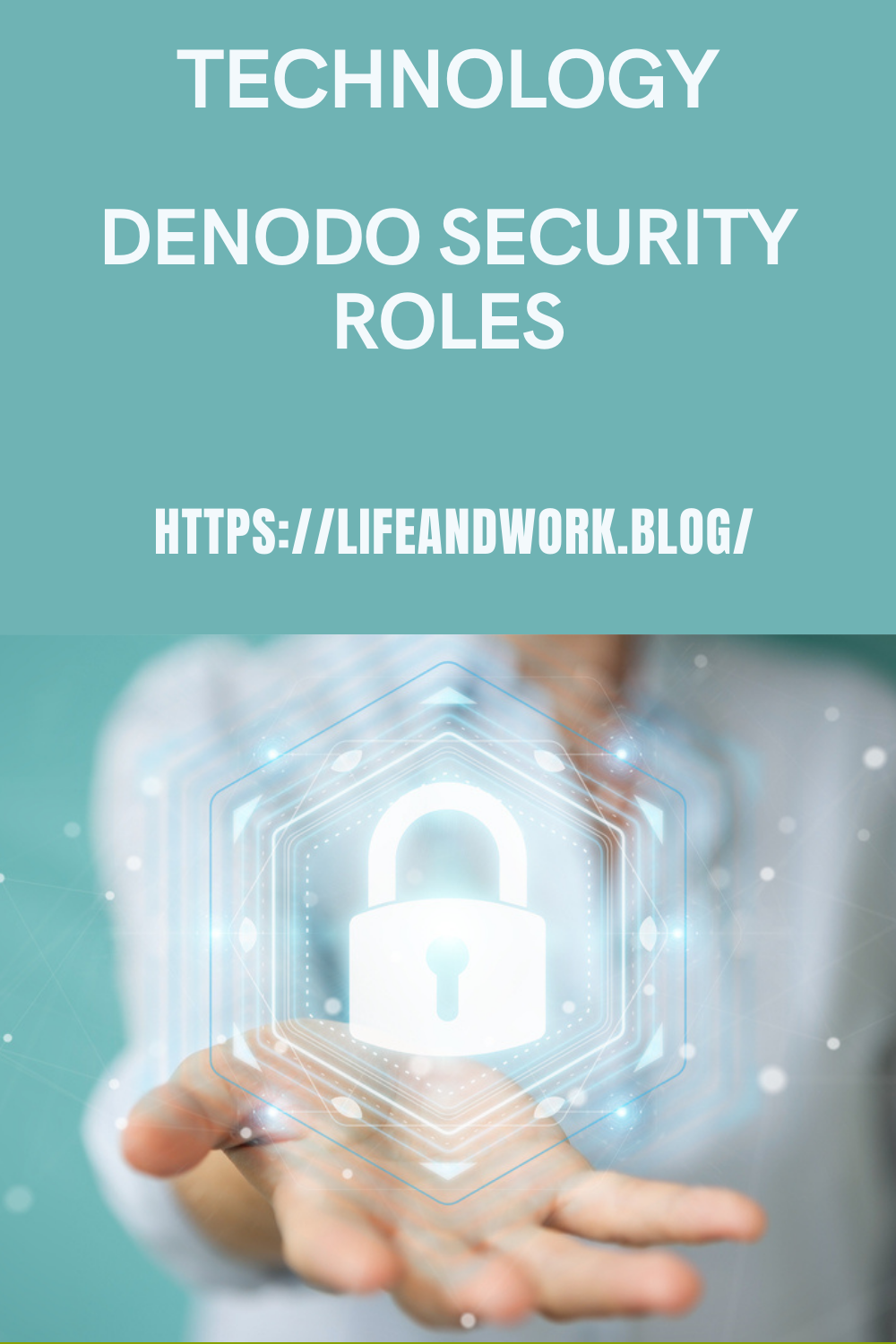 Technology – Denodo Security Roles