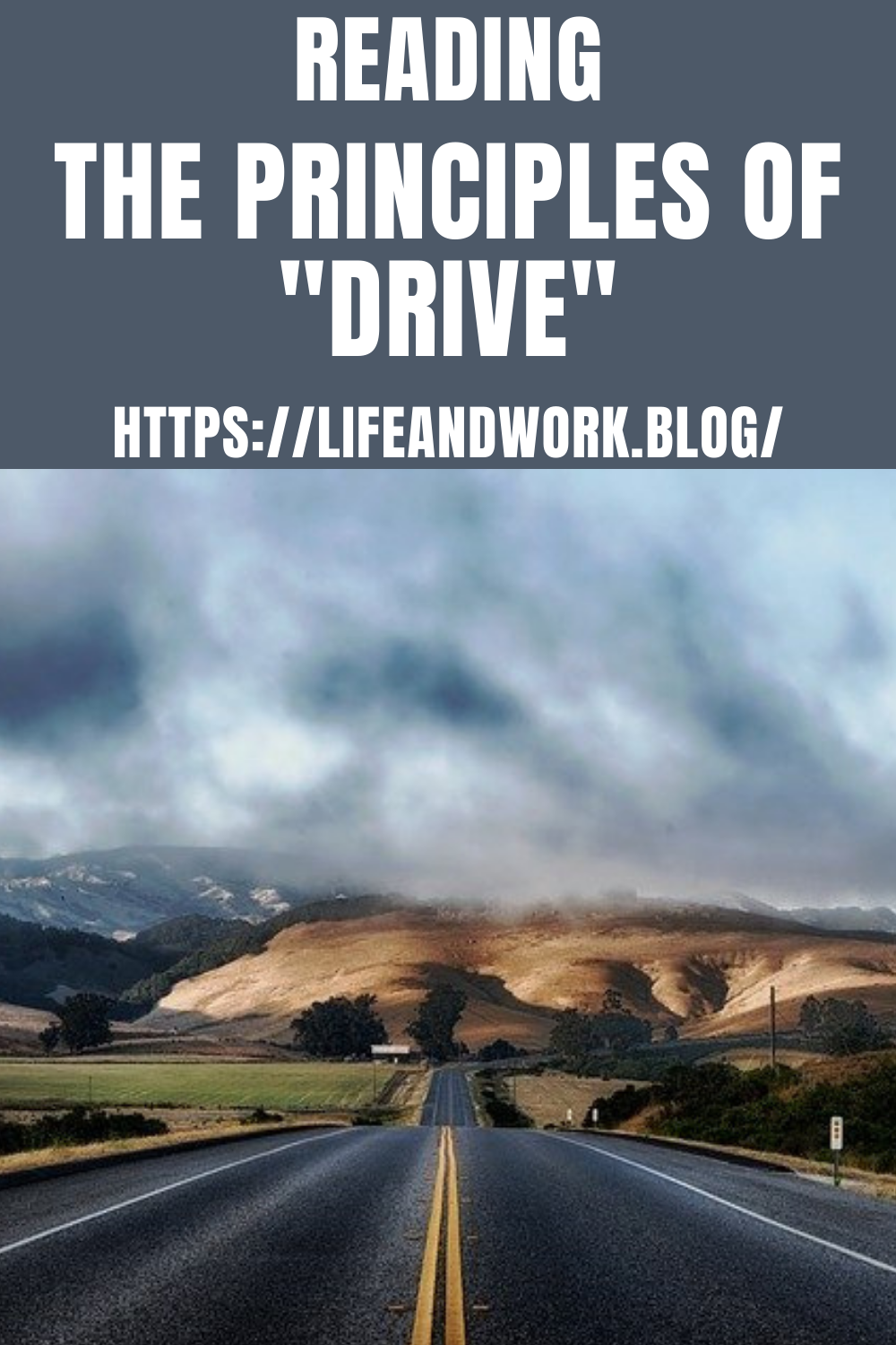 Reading – Principles of “Drive”
