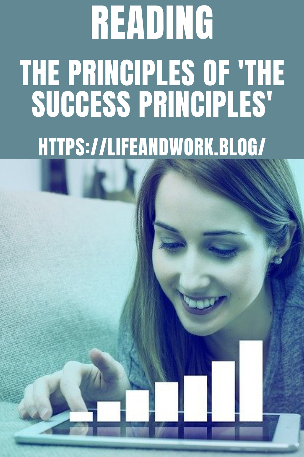Reading – The Principles of ‘The Success Principles’