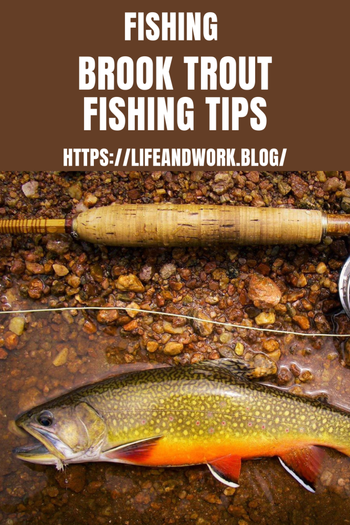 Brook Trout Fishing Tips