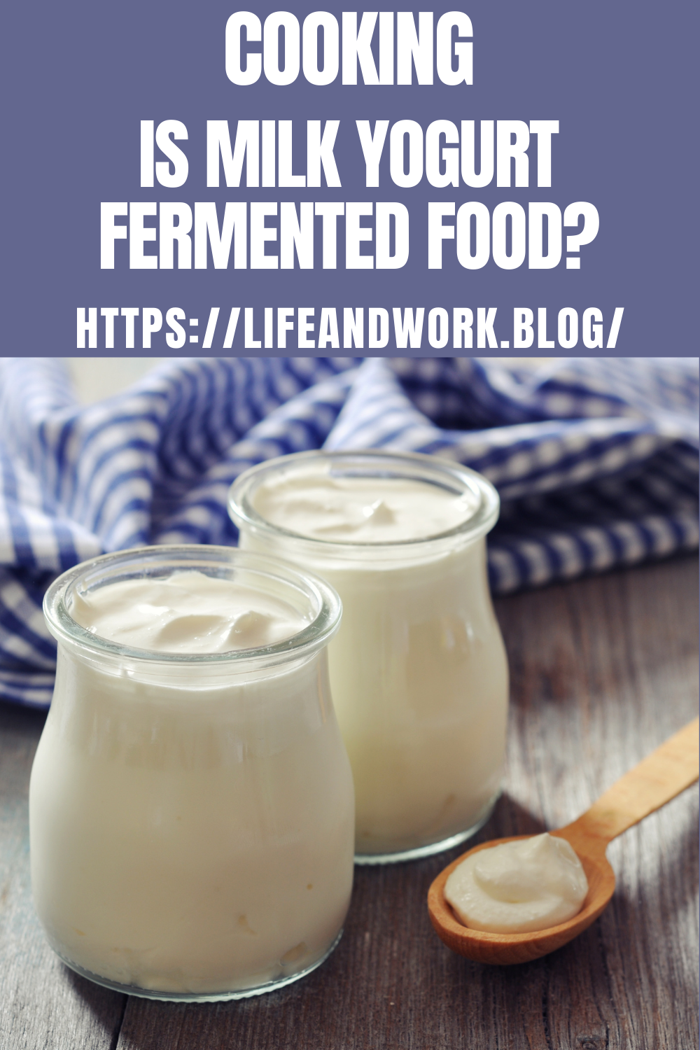Is Milk Yogurt Fermented Food?