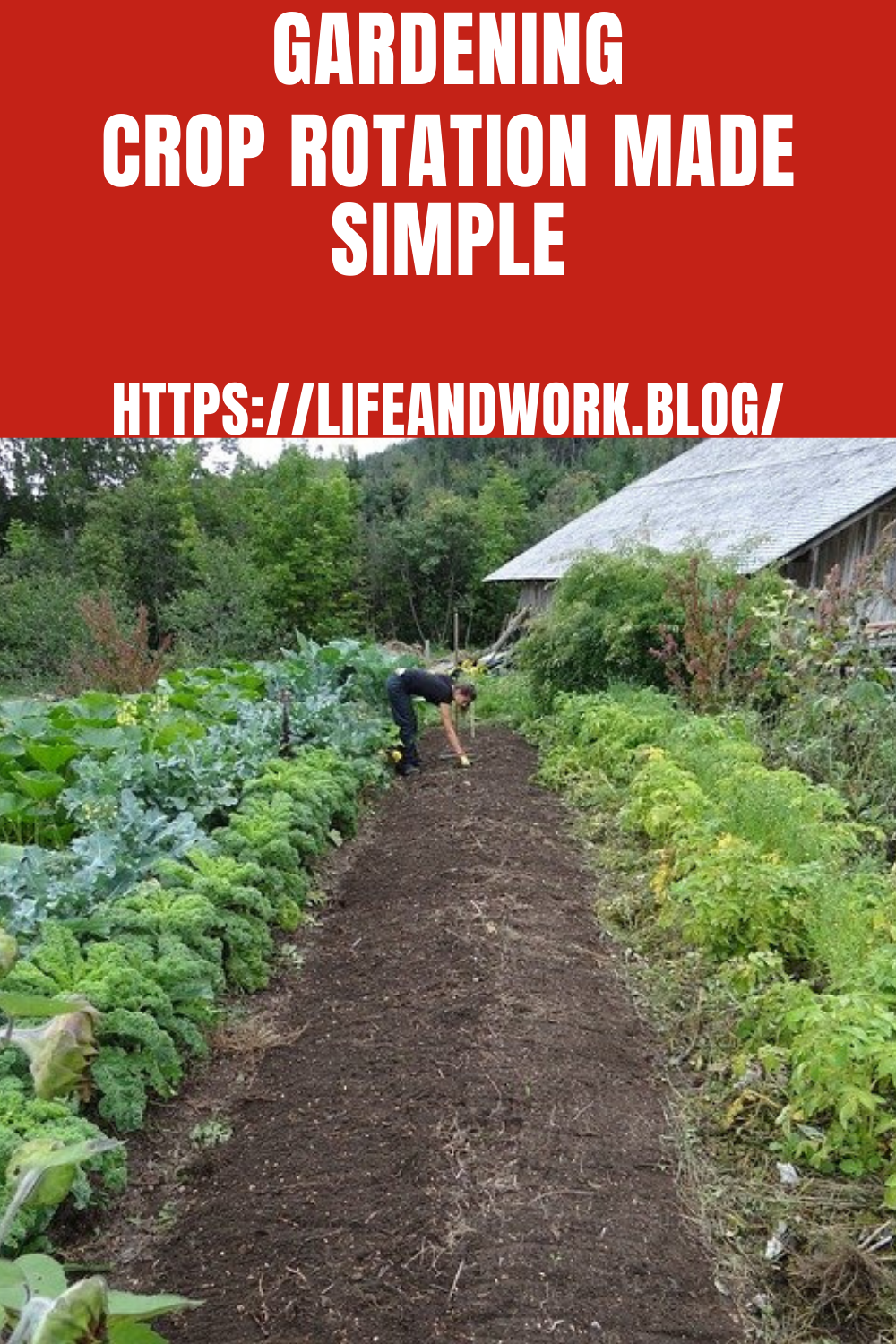 Gardening – Crop Rotation Made Simple