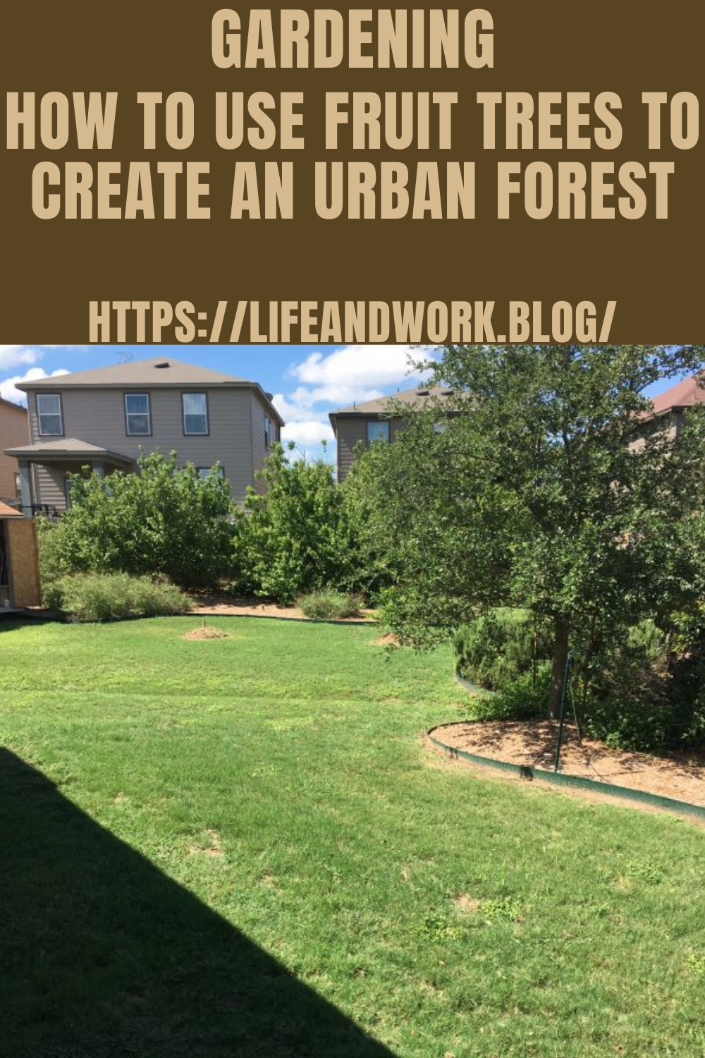 How To Use Fruit Trees To Create an Urban Forest