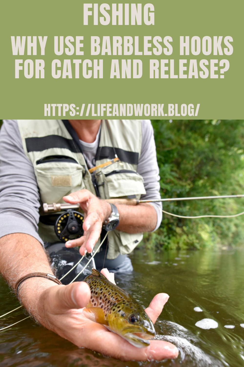 Why Use Barbless Hooks For Catch and Release?