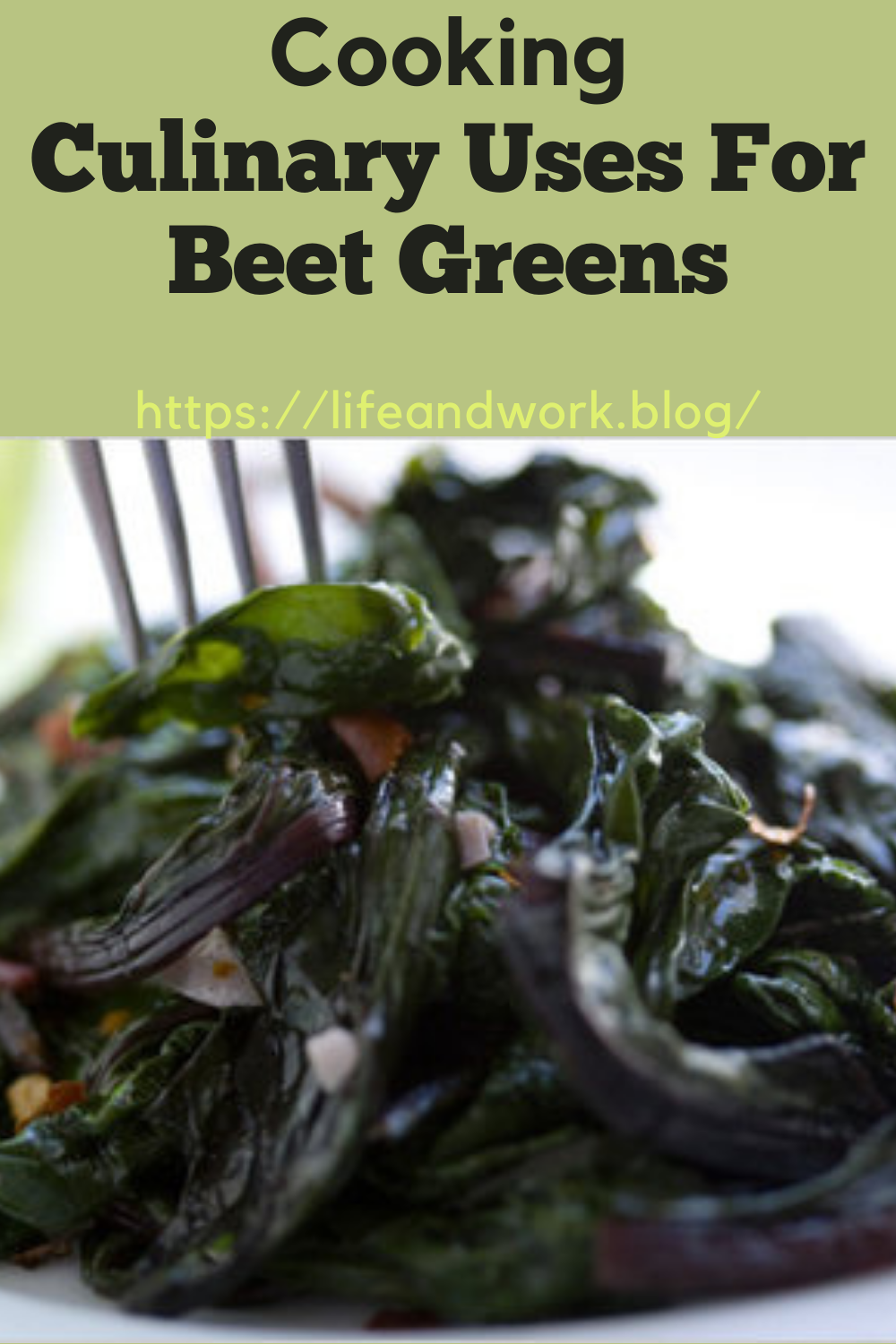 Cooking – Culinary Uses For Beet Greens