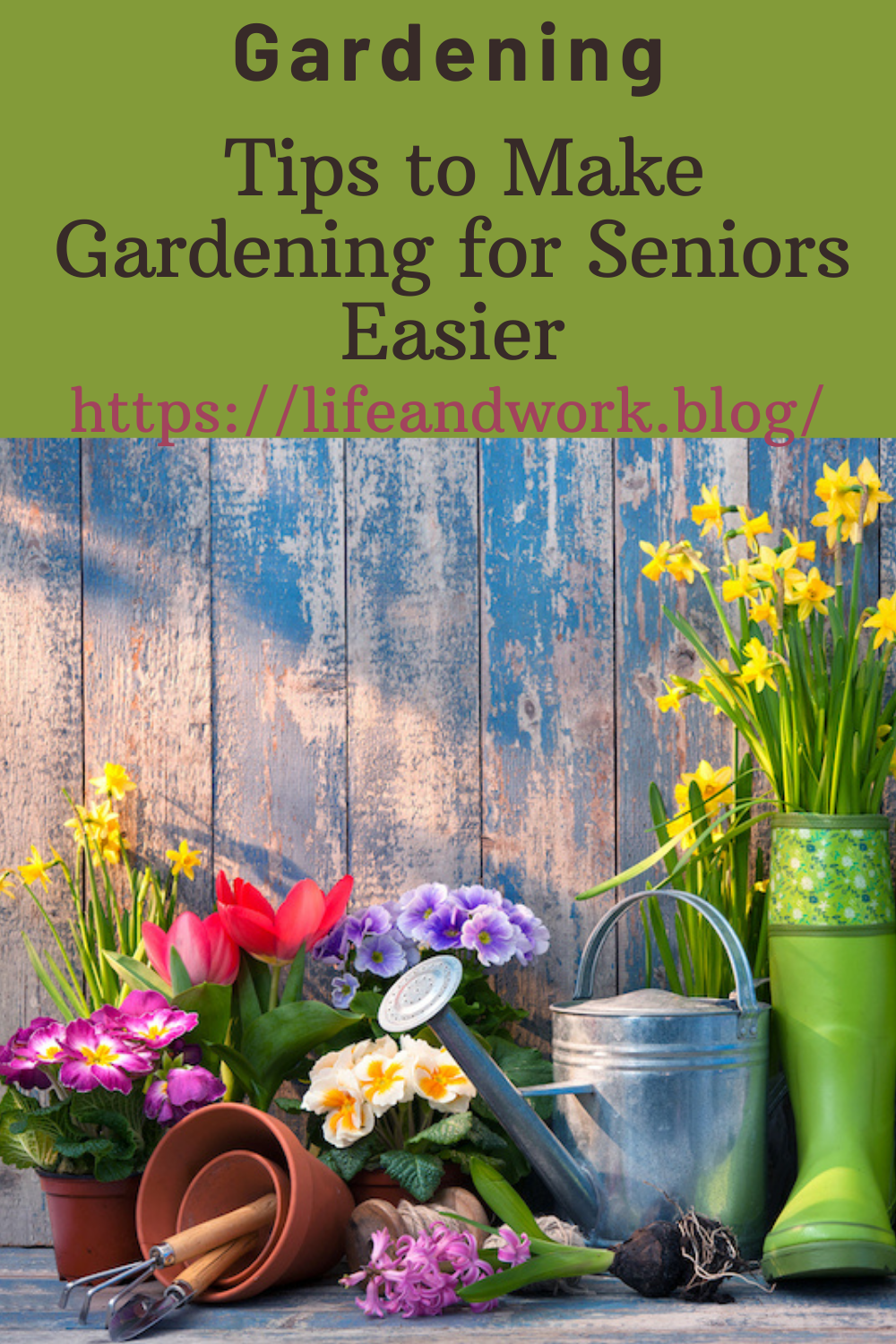 Senior Gardening: Benefits, Tips, and Safety Measures