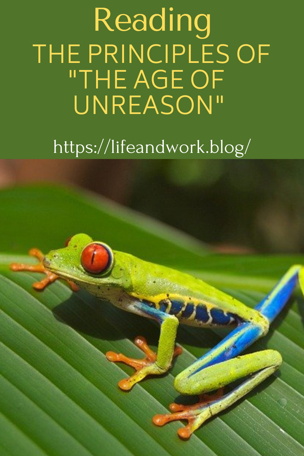 The Principles Of "The Age of Unreason"