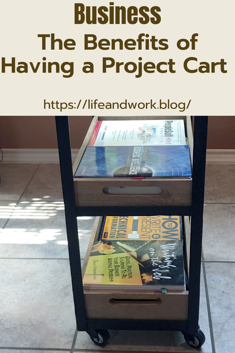 Business – The Benefits of Having a Project Cart