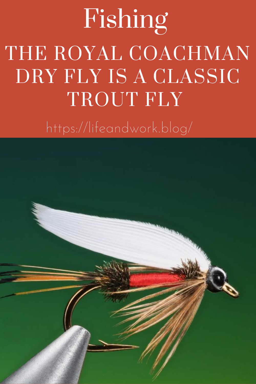The Royal Coachman Dry Fly is a Classic Trout Fly