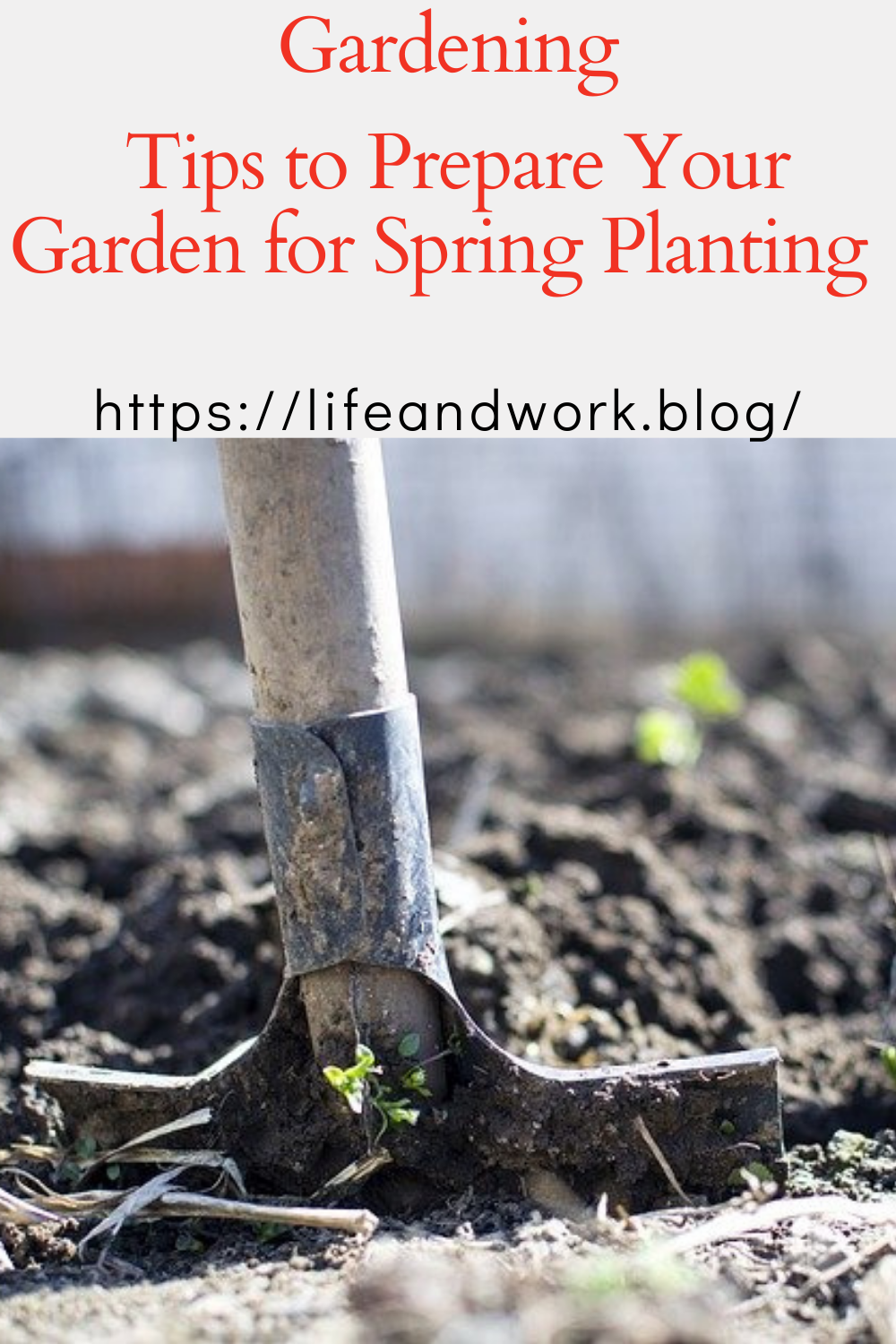 Tips to Prepare Your Garden for Spring Planting