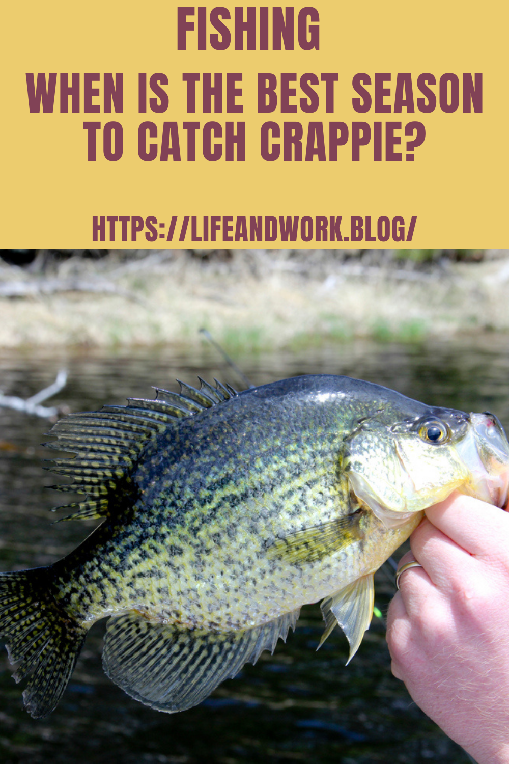 When is the Best Season to Catch Crappie?