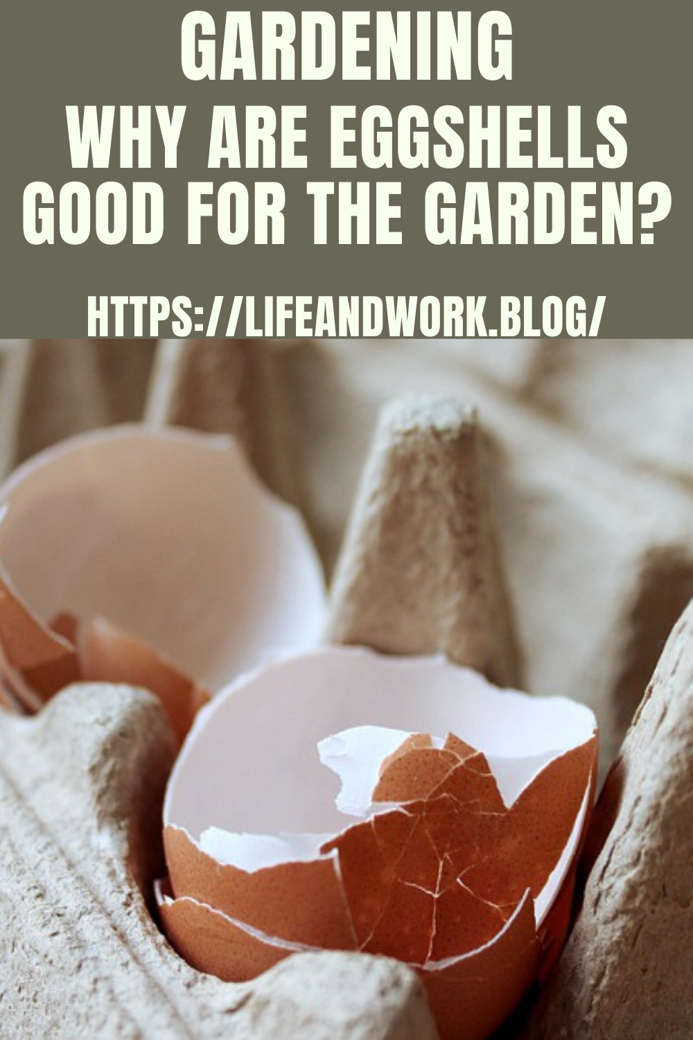 Why Are Eggshells Good For the Garden?