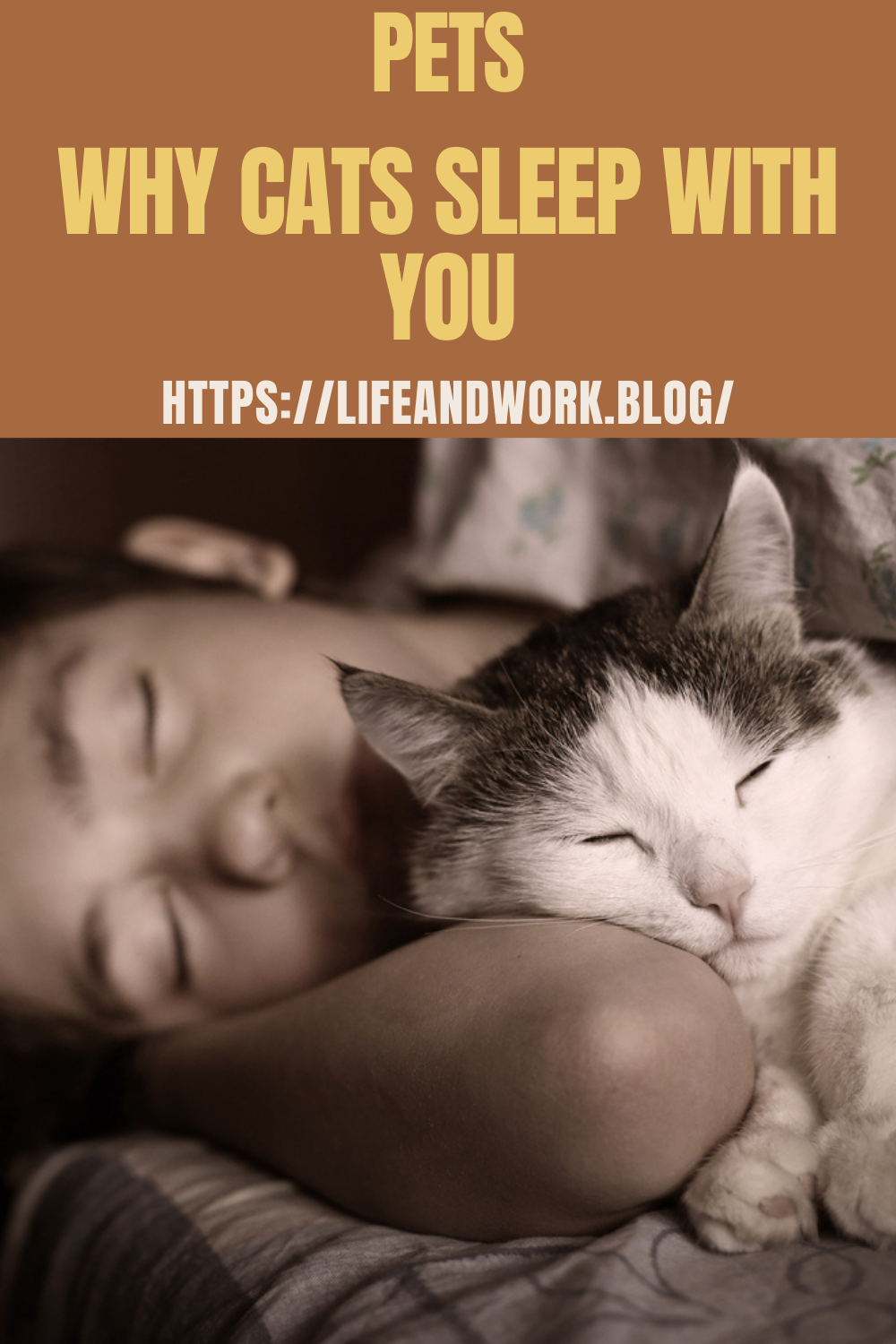 Why Cats Sleep With You