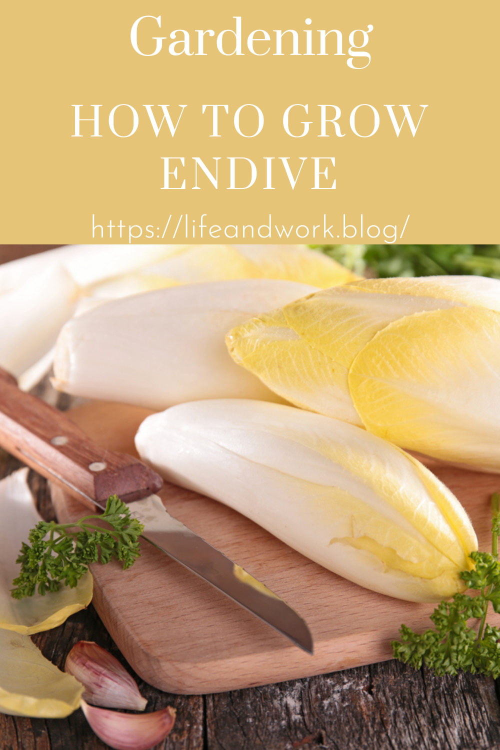 How To Grow Endive