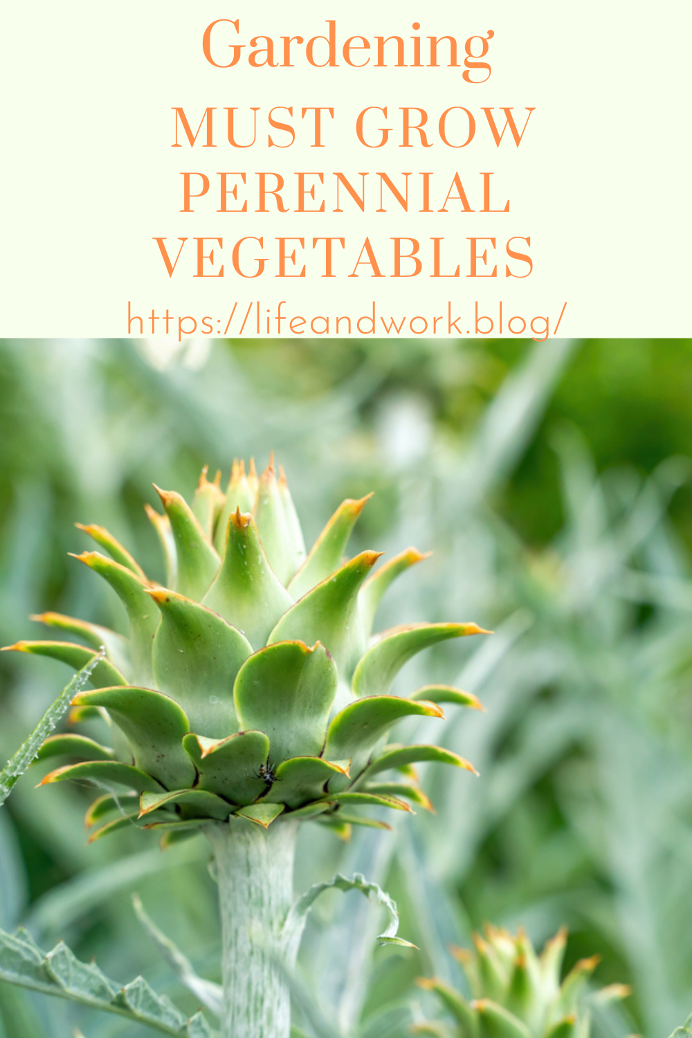 Gardening - Must Grow Perennial Vegetables