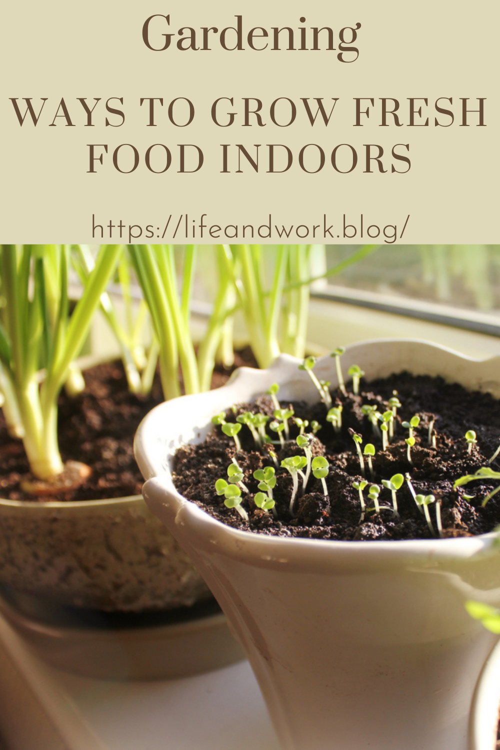 Ways To Grow Fresh Food Indoors