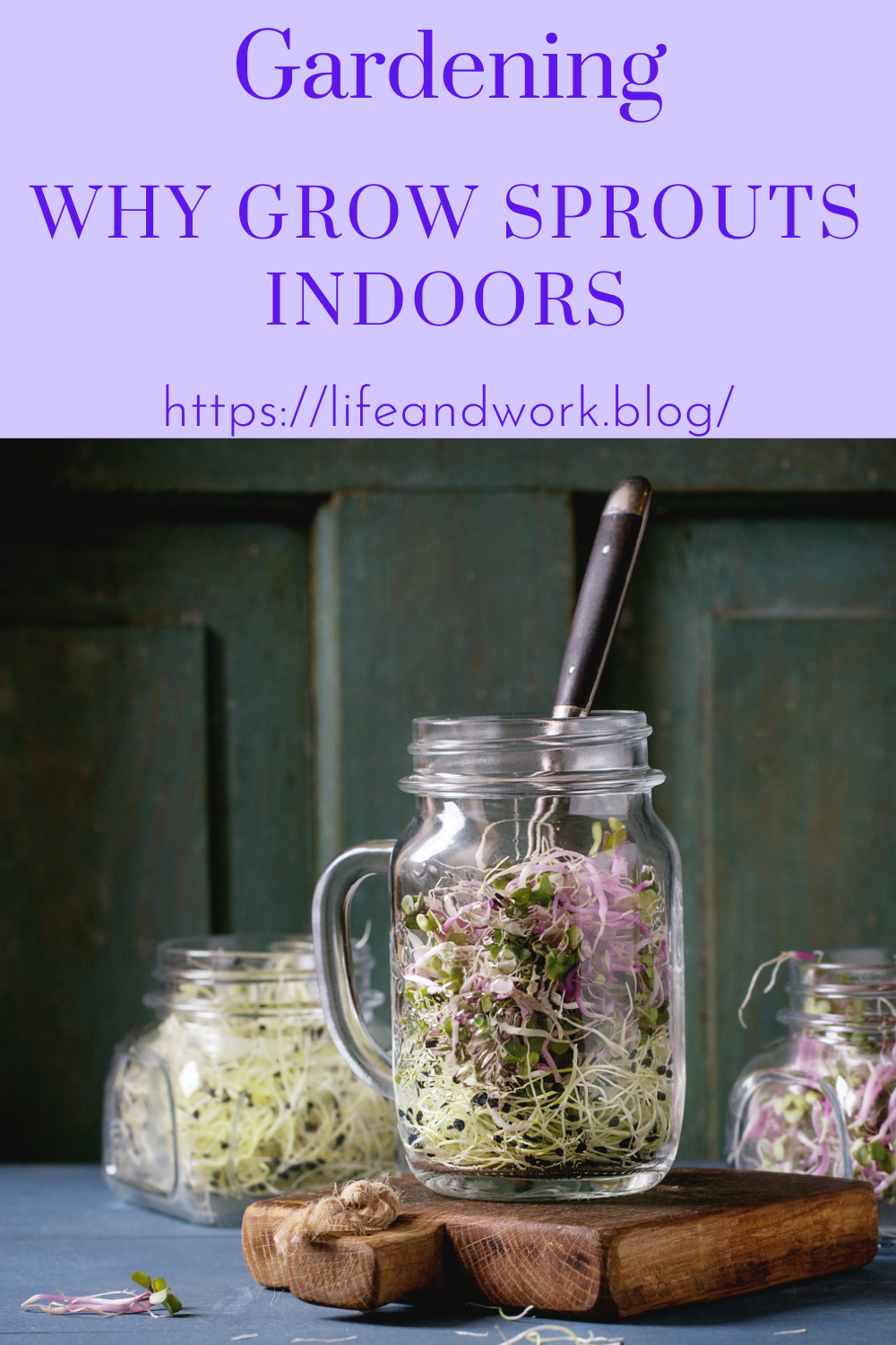 Gardening – Why Grow Sprouts Indoors
