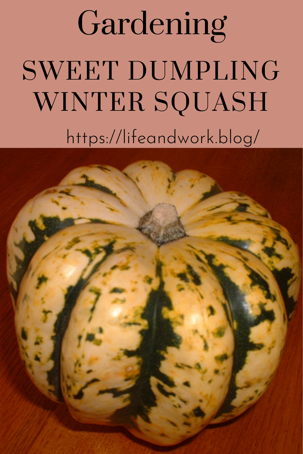 How To Grow Sweet Dumpling Winter Squash