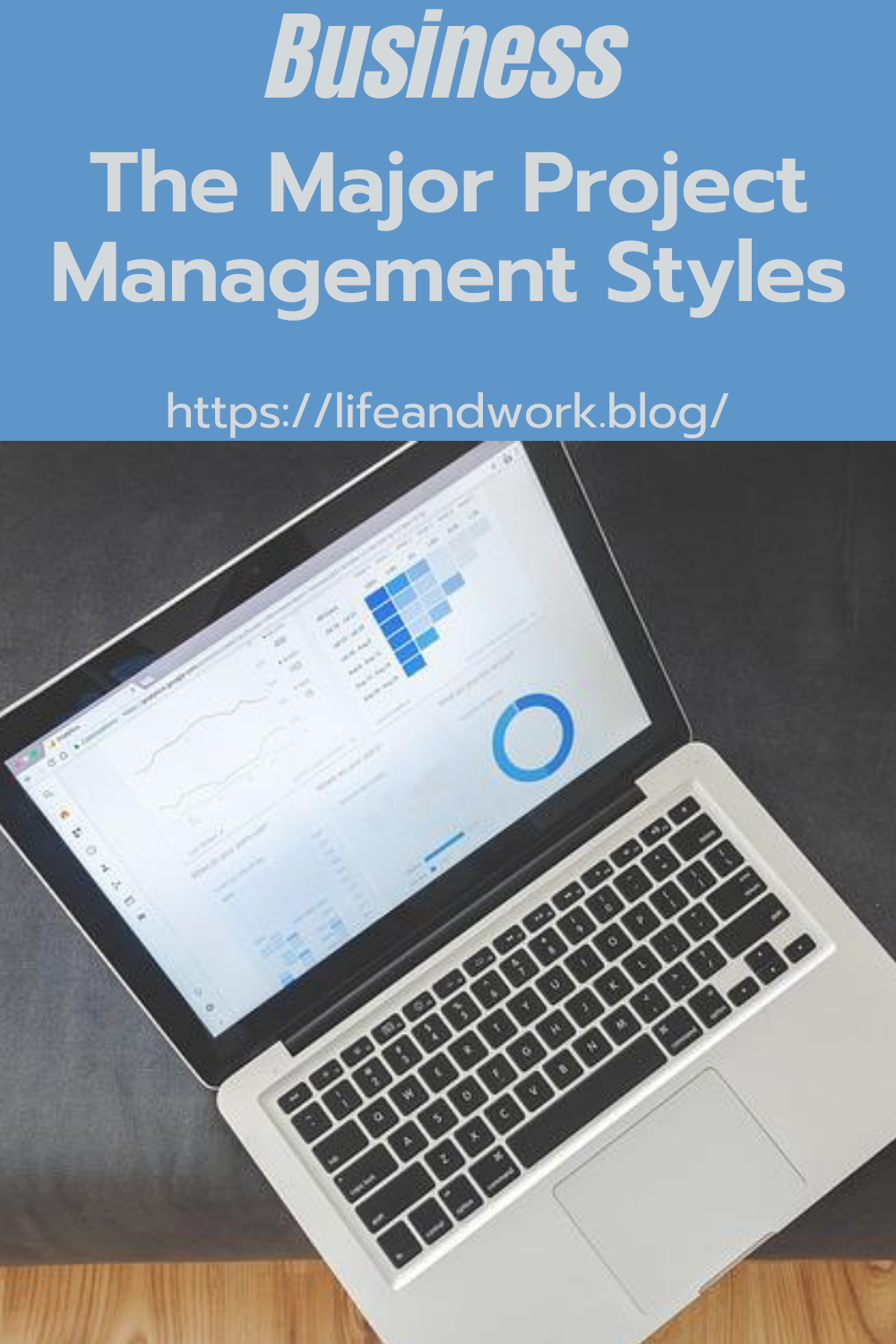 The Major Project Management Styles