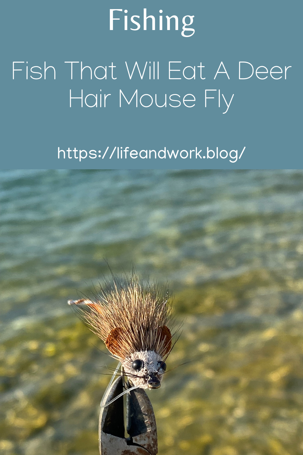 Fish That Will Eat A Deer Hair Mouse Fly