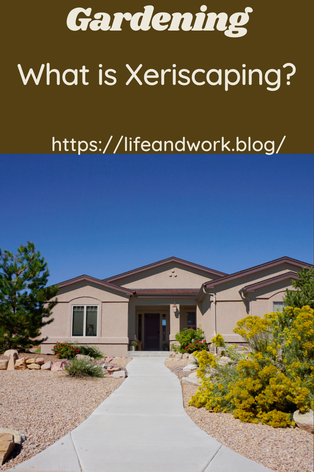 What is Xeriscaping?