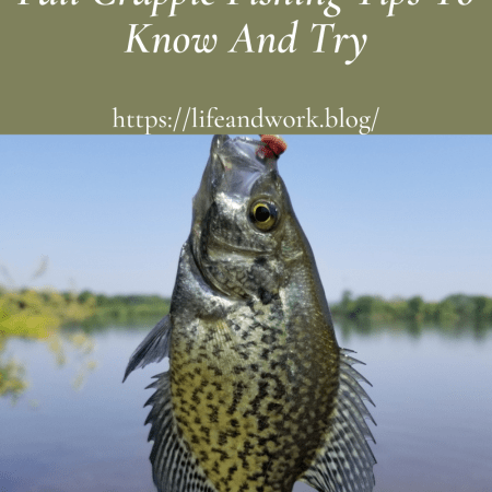Crappie Fishing Tips