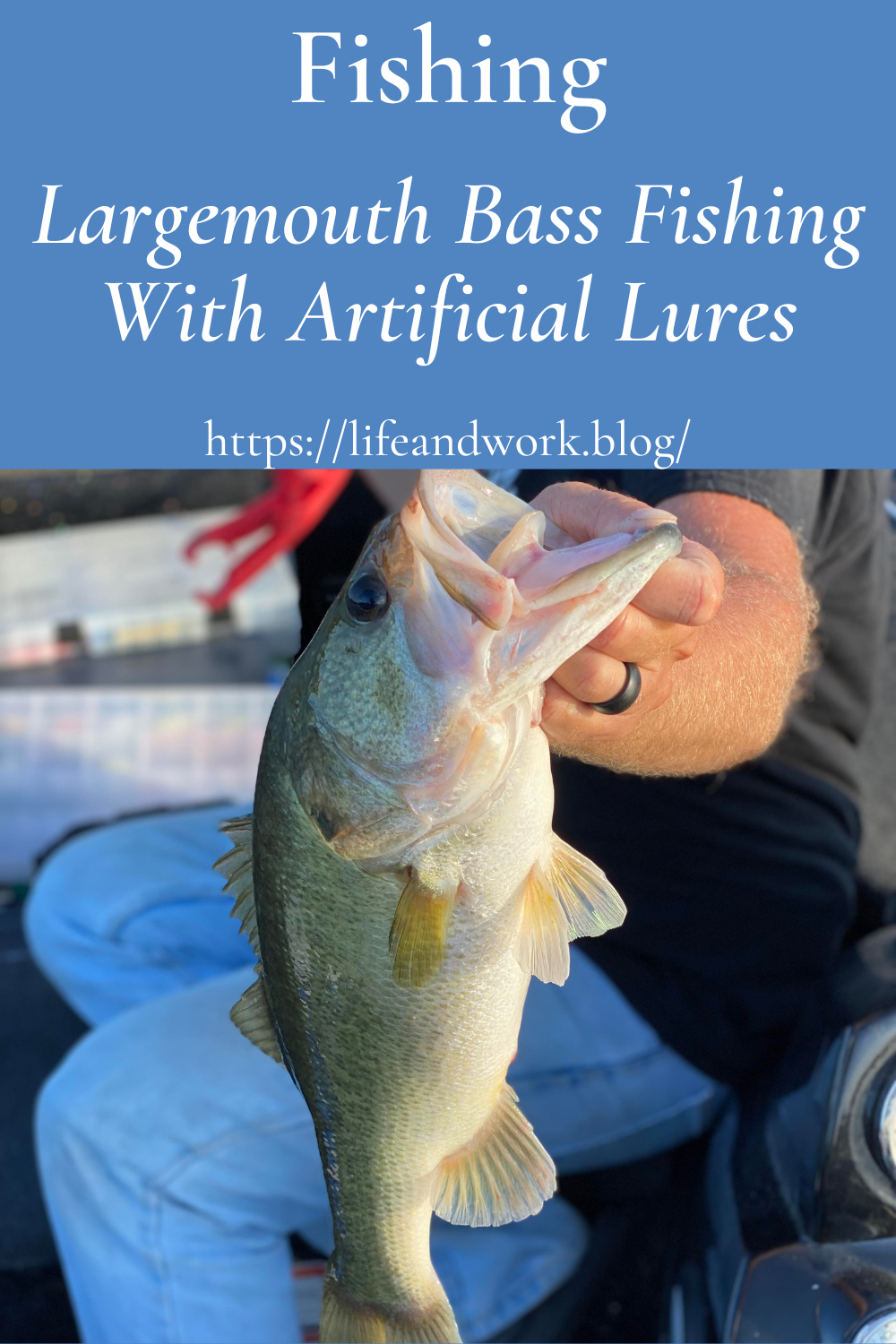 Largemouth Bass Fishing With Artificial Lures