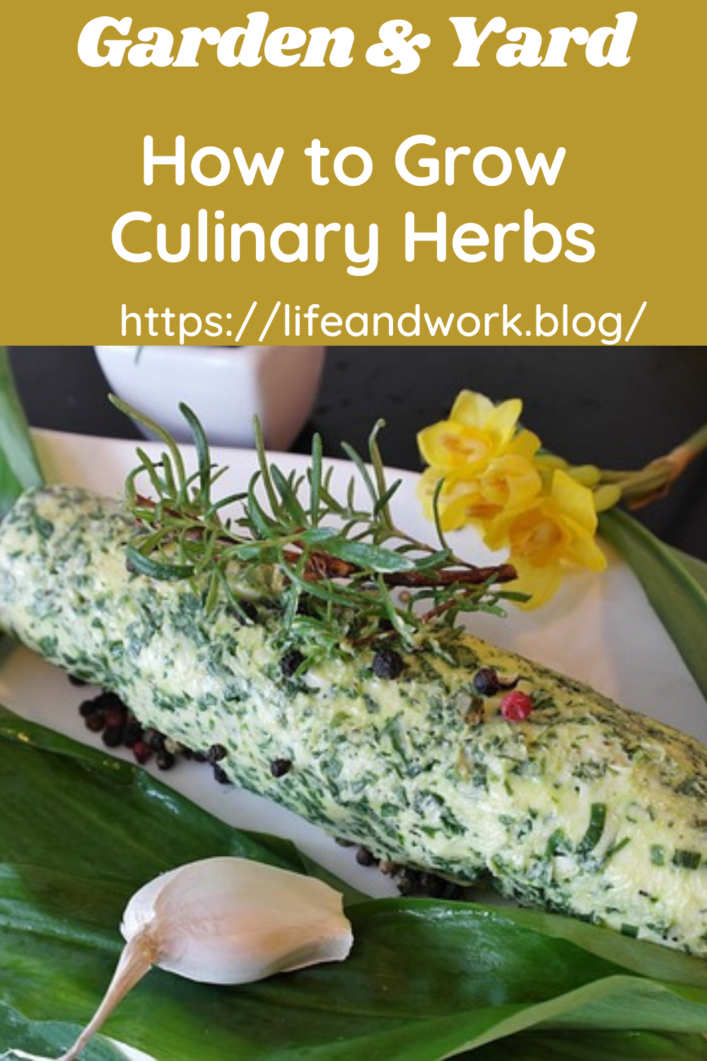 Garden And Yard How To Grow Culinary Herbs