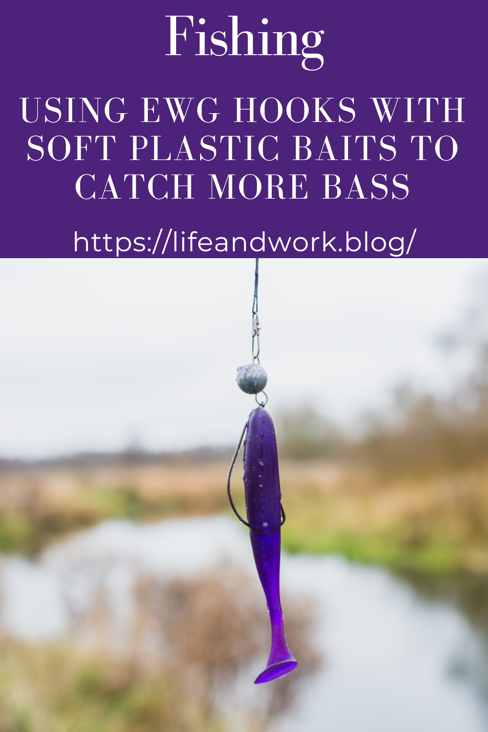 Using EWG Hooks With Soft Plastic Baits to Catch More Bass ...