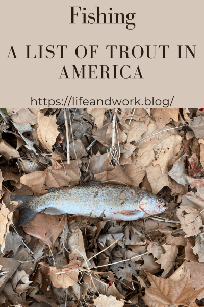 A List of Trout in America