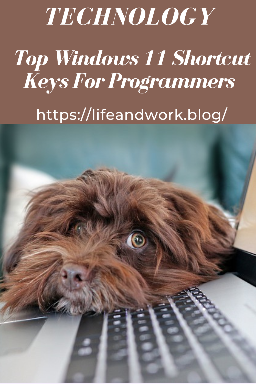 Top Windows 11 Shortcut Keys For Programmers