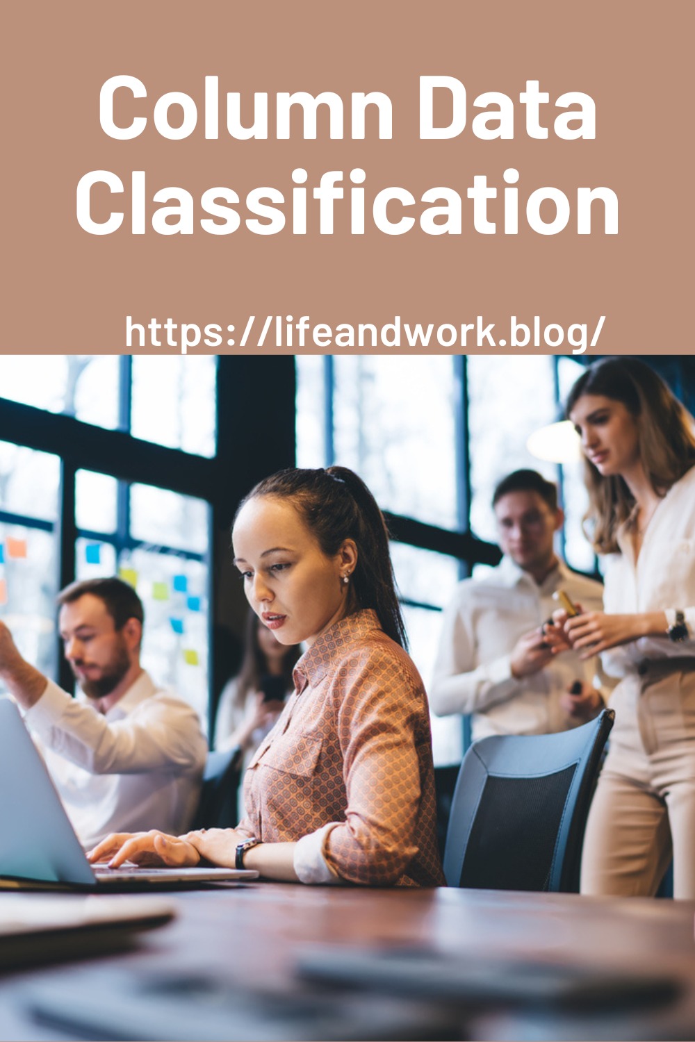 Column Data Classification