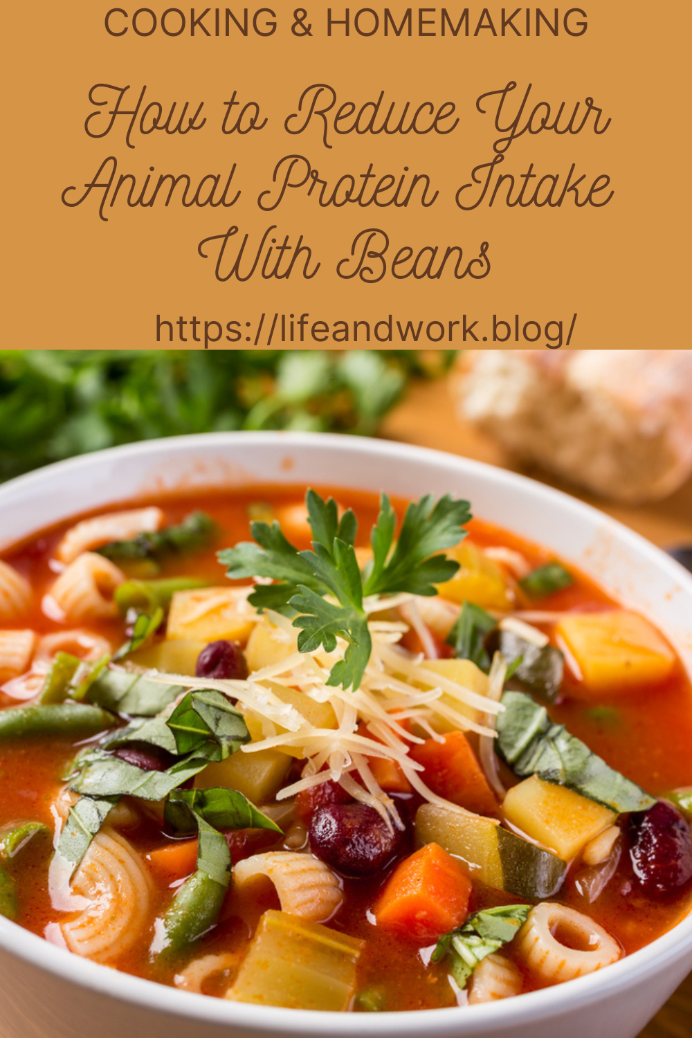 How to Reduce Your Animal Protein Intake With Beans