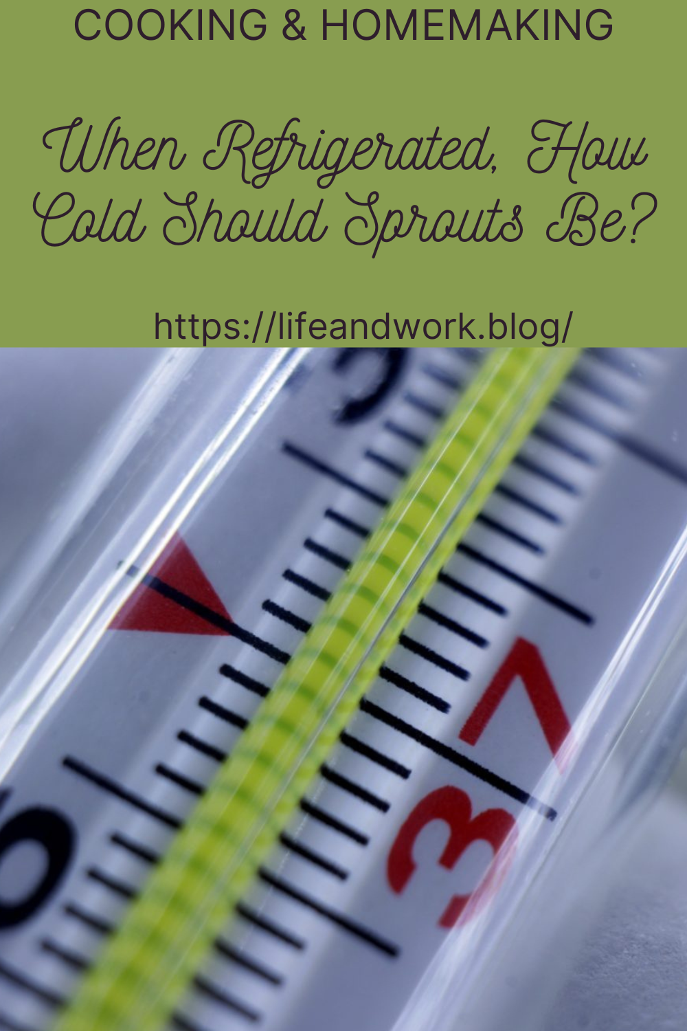 When Refrigerated, How Cold Should Sprouts Be?