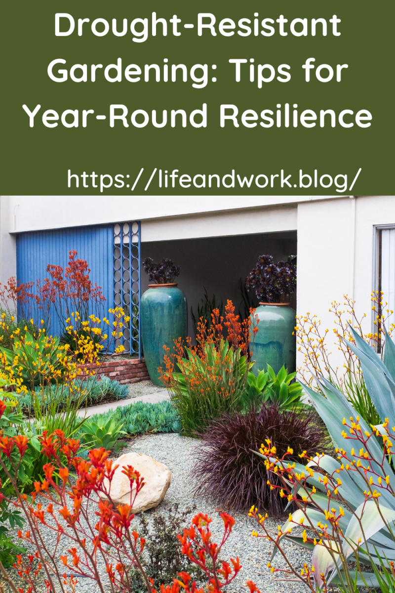 Drought-Resistant Garden Design for All Weather Conditions