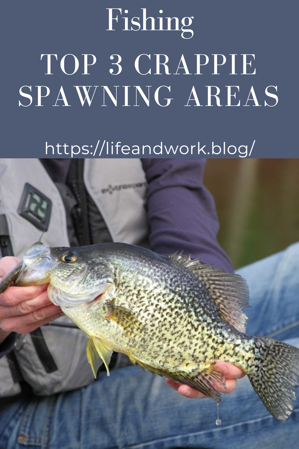 Top 3 Crappie Spawning Areas