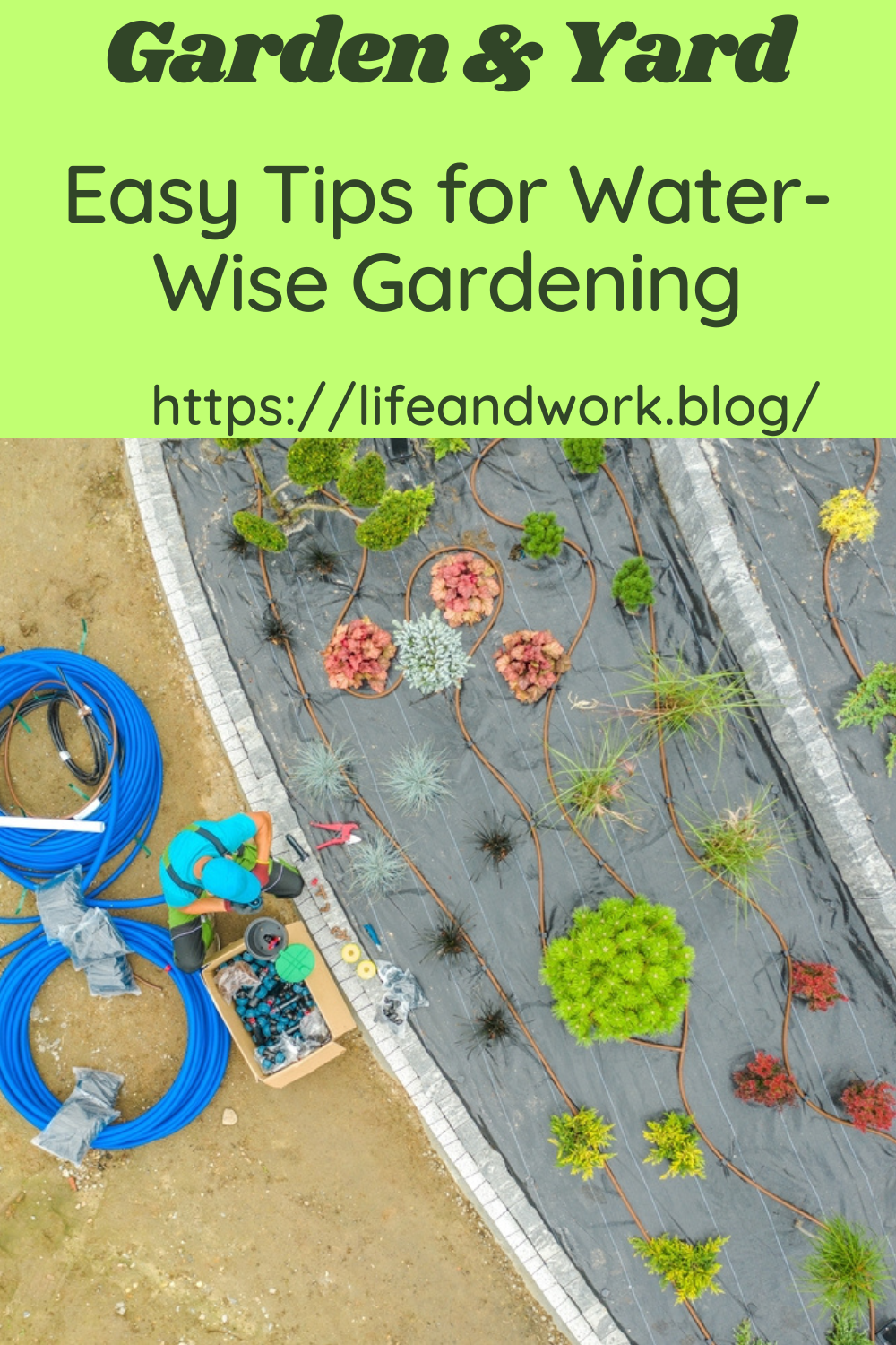 Easy Tips for Water-Wise Gardening
