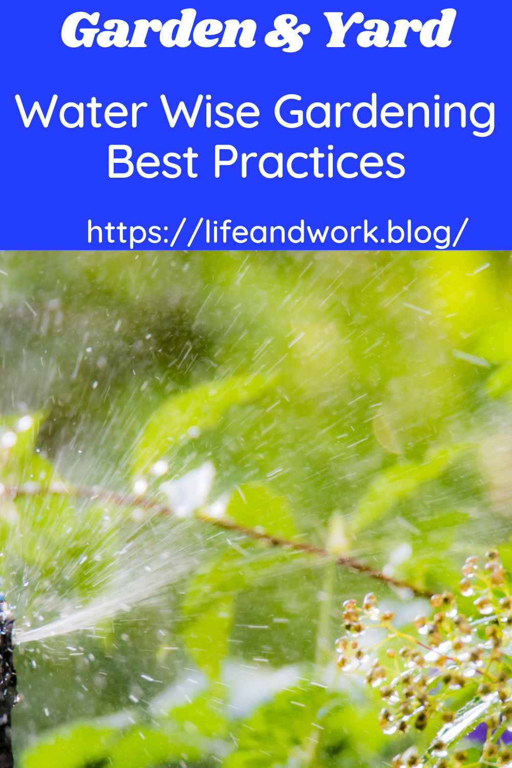 Water Wise Gardening Best Practices