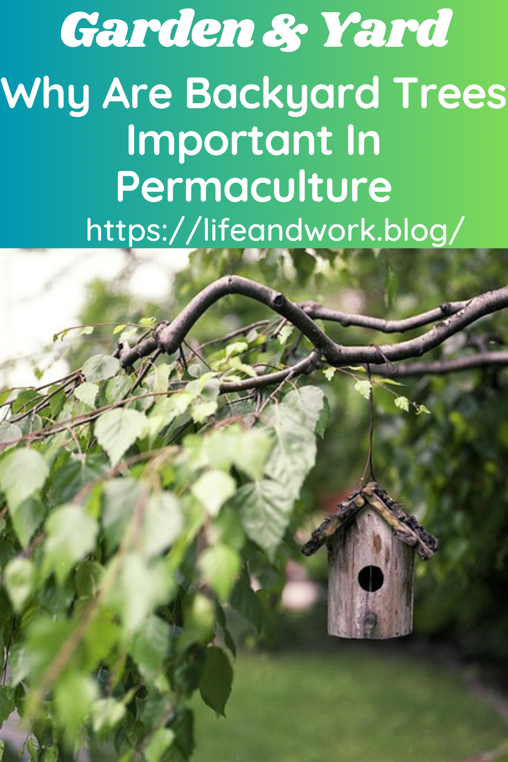 Why are backyard trees important in permaculture