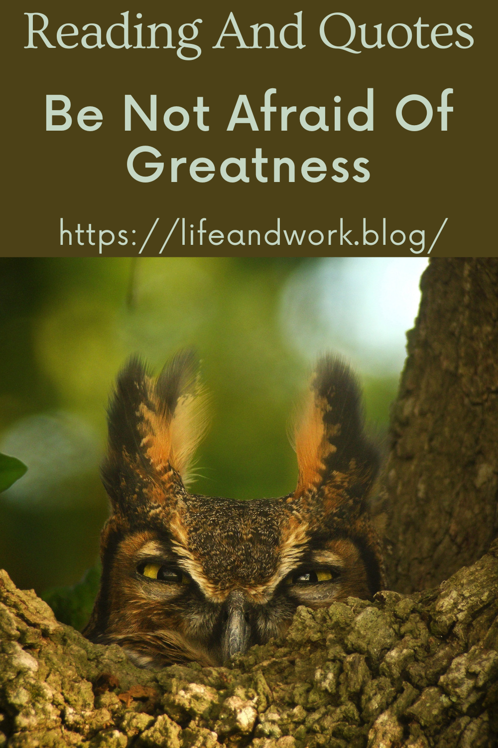 Be Not Afraid Of Greatness
