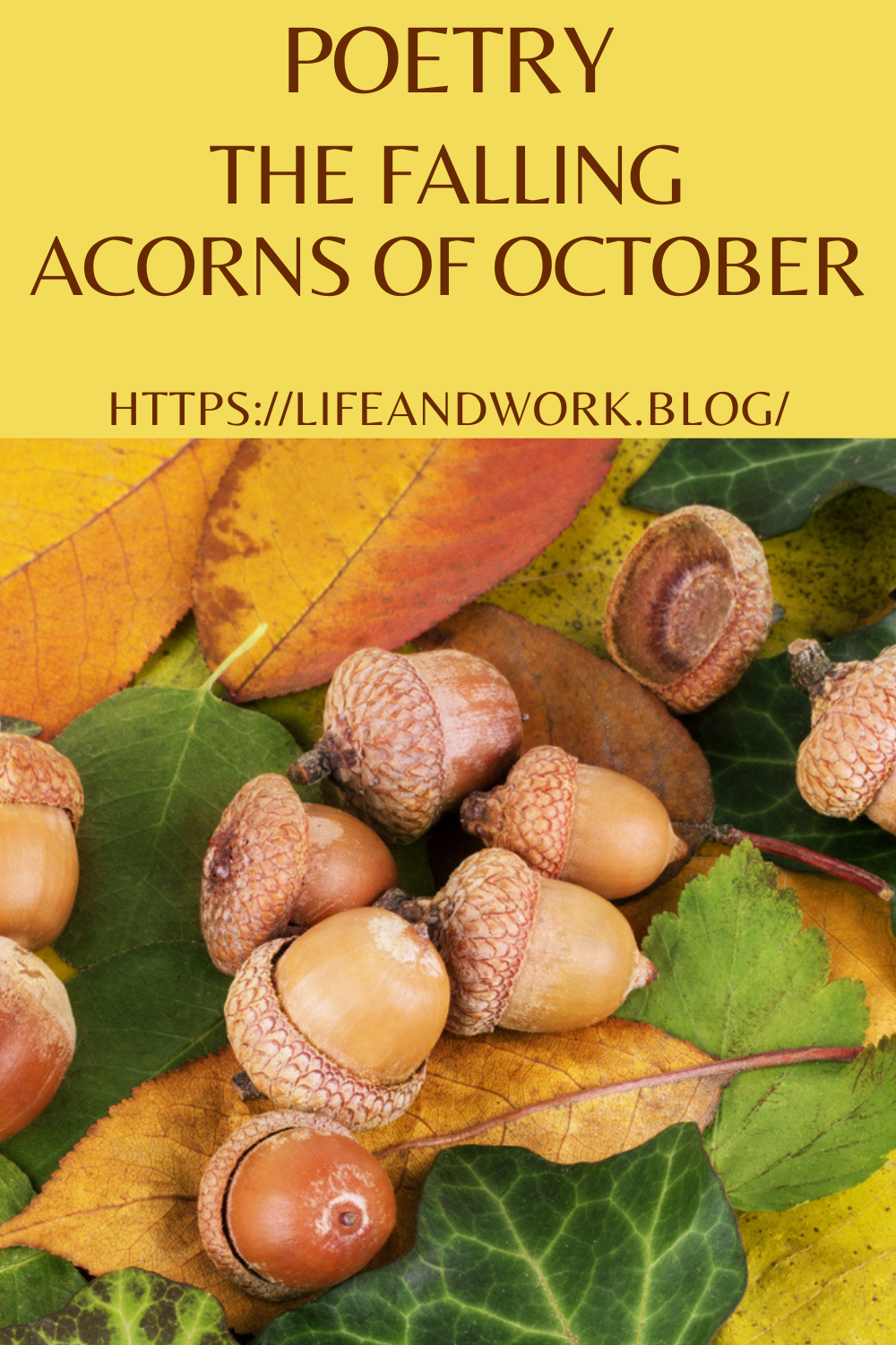 The Falling Acorns Of October