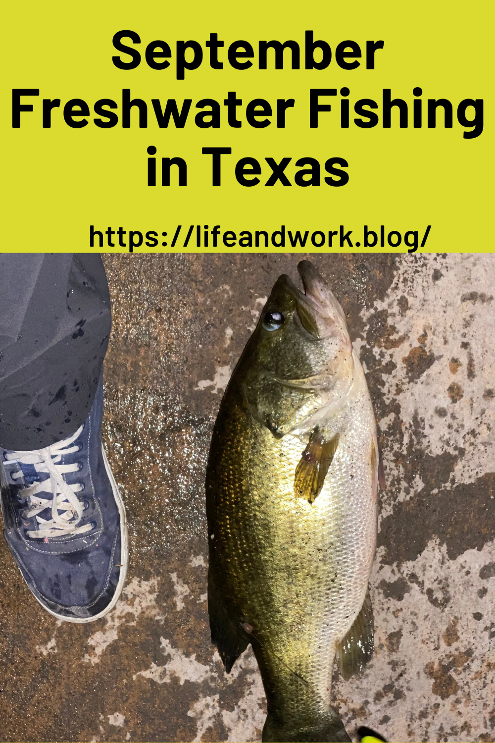 September Freshwater Fishing in Texas