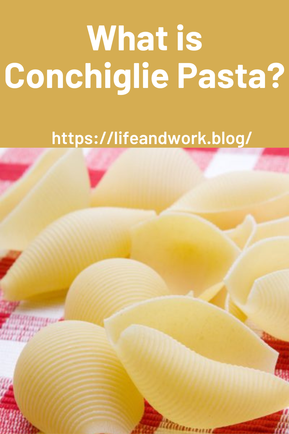 What is Conchiglie Pasta?