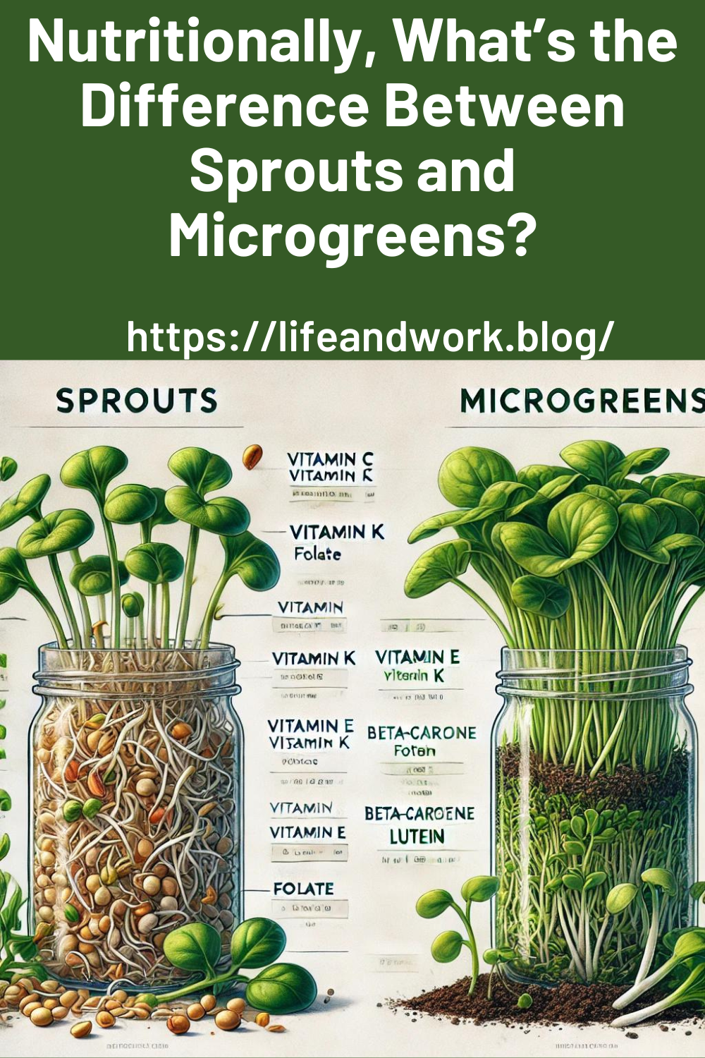 Nutritionally, What’s the Difference Between Sprouts and Microgreens?